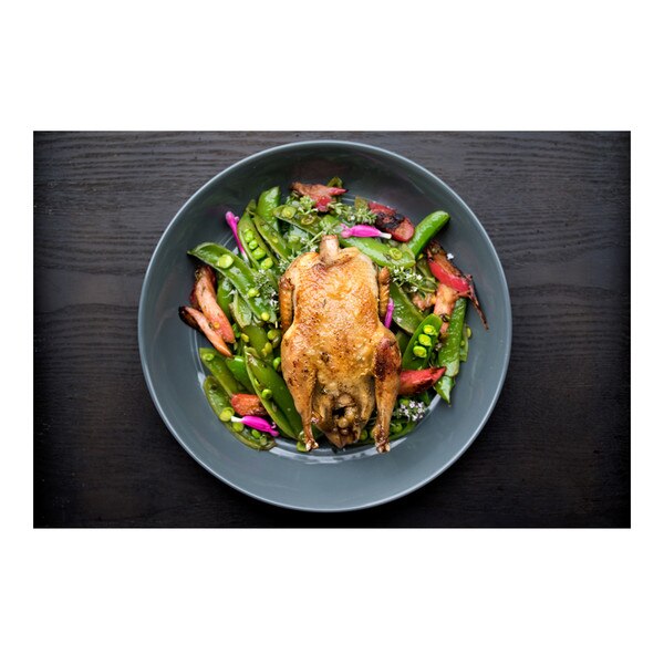 Buy Whole Raw Chukar Partridges in Bulk | Marx Foods